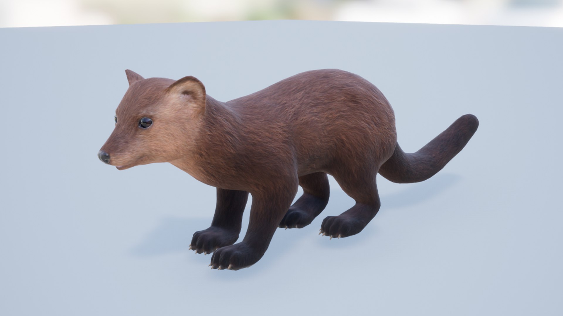 Marten model - TurboSquid 2176856