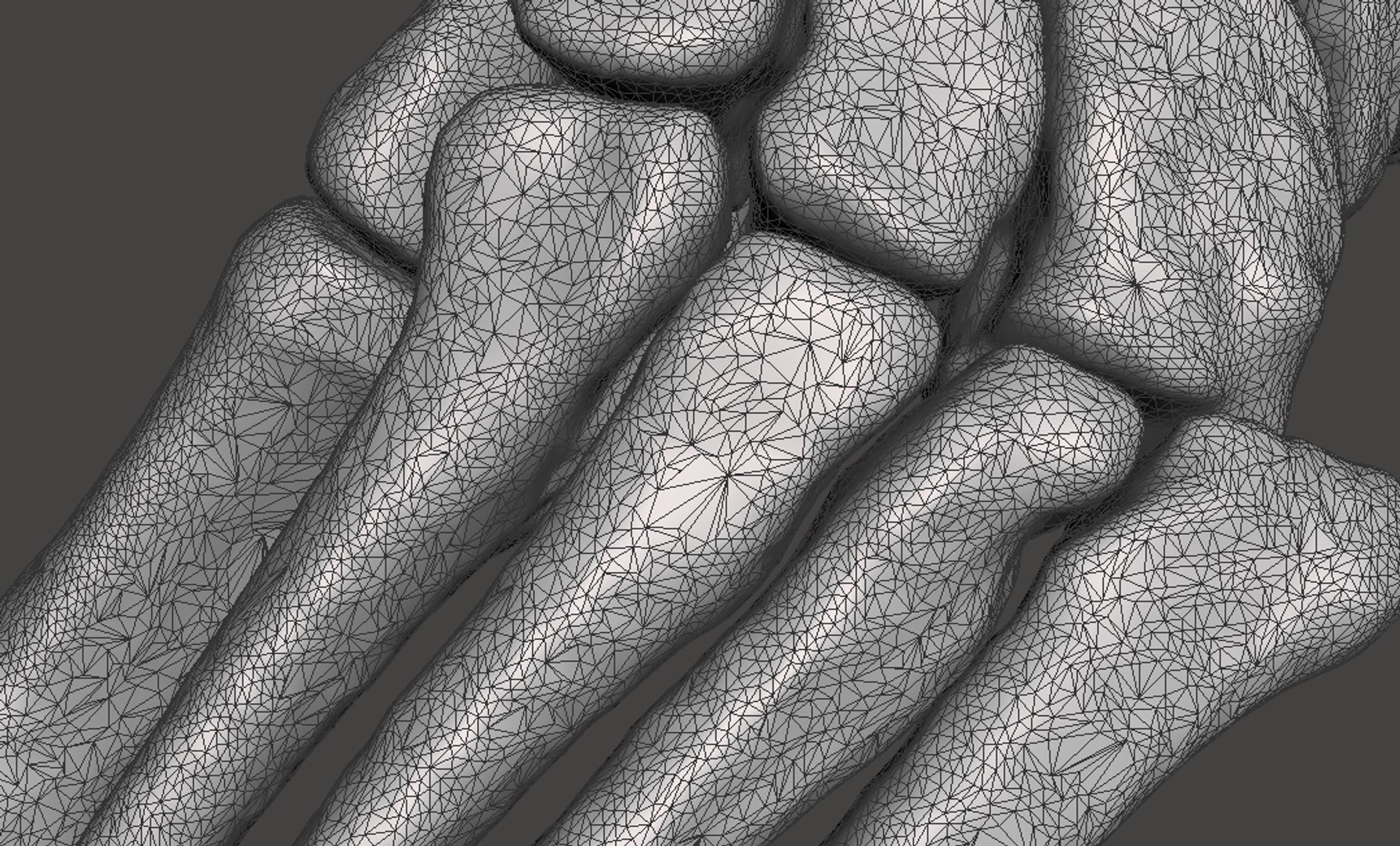 Human left foot - 3D model - TurboSquid 1315948