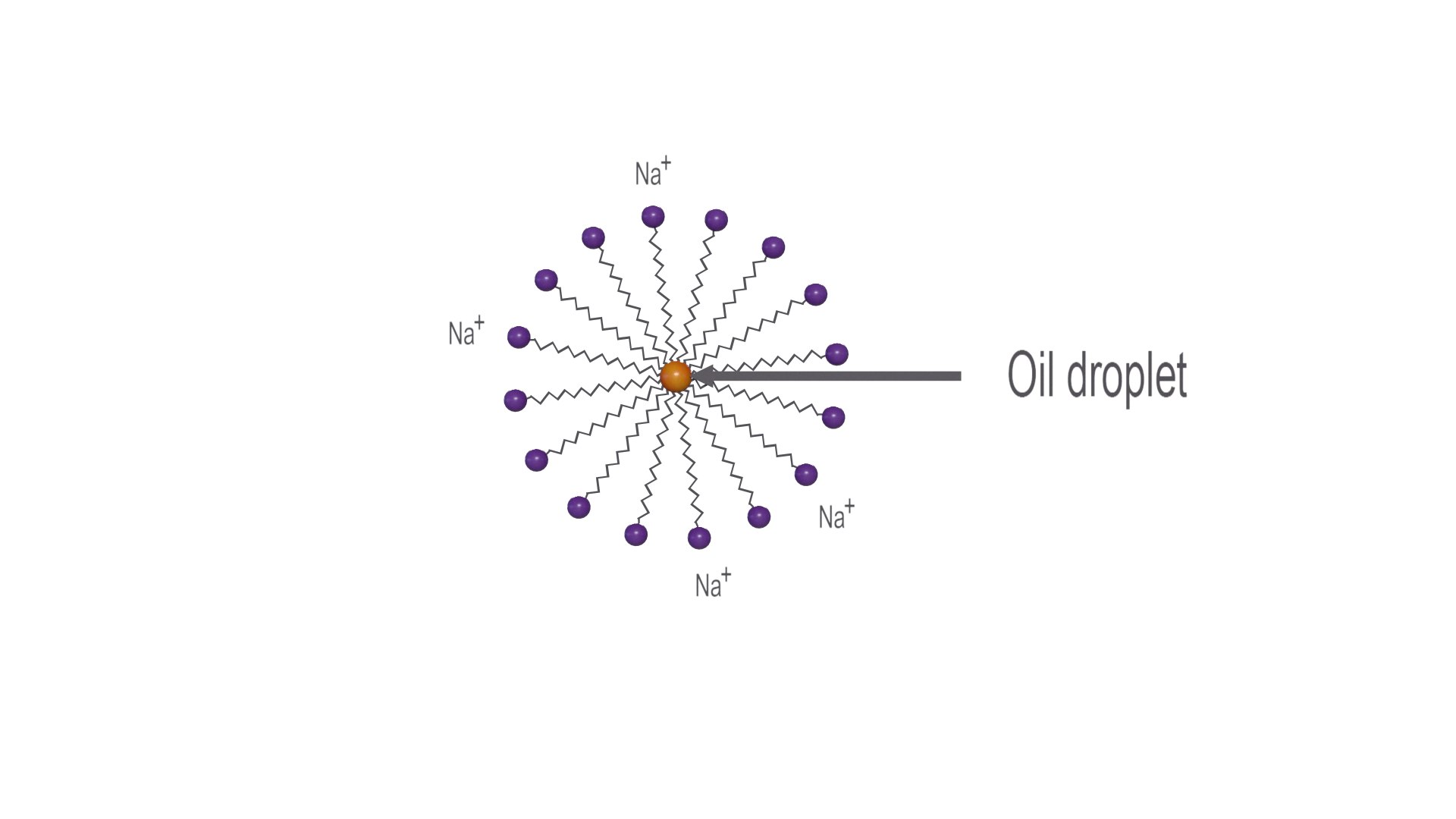 3D model Formation micelle - TurboSquid 2172866