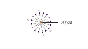 3D Micelle Models | TurboSquid