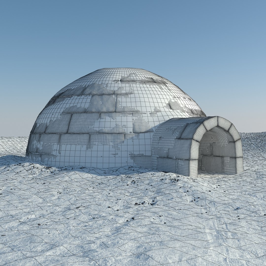 igloo snow 3d max