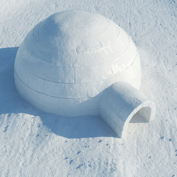 igloo snow 3d model