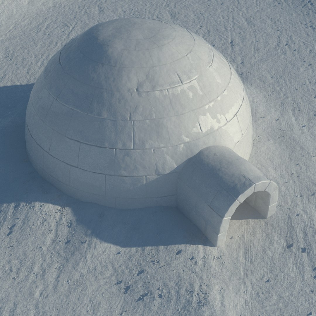 igloo snow 3d max