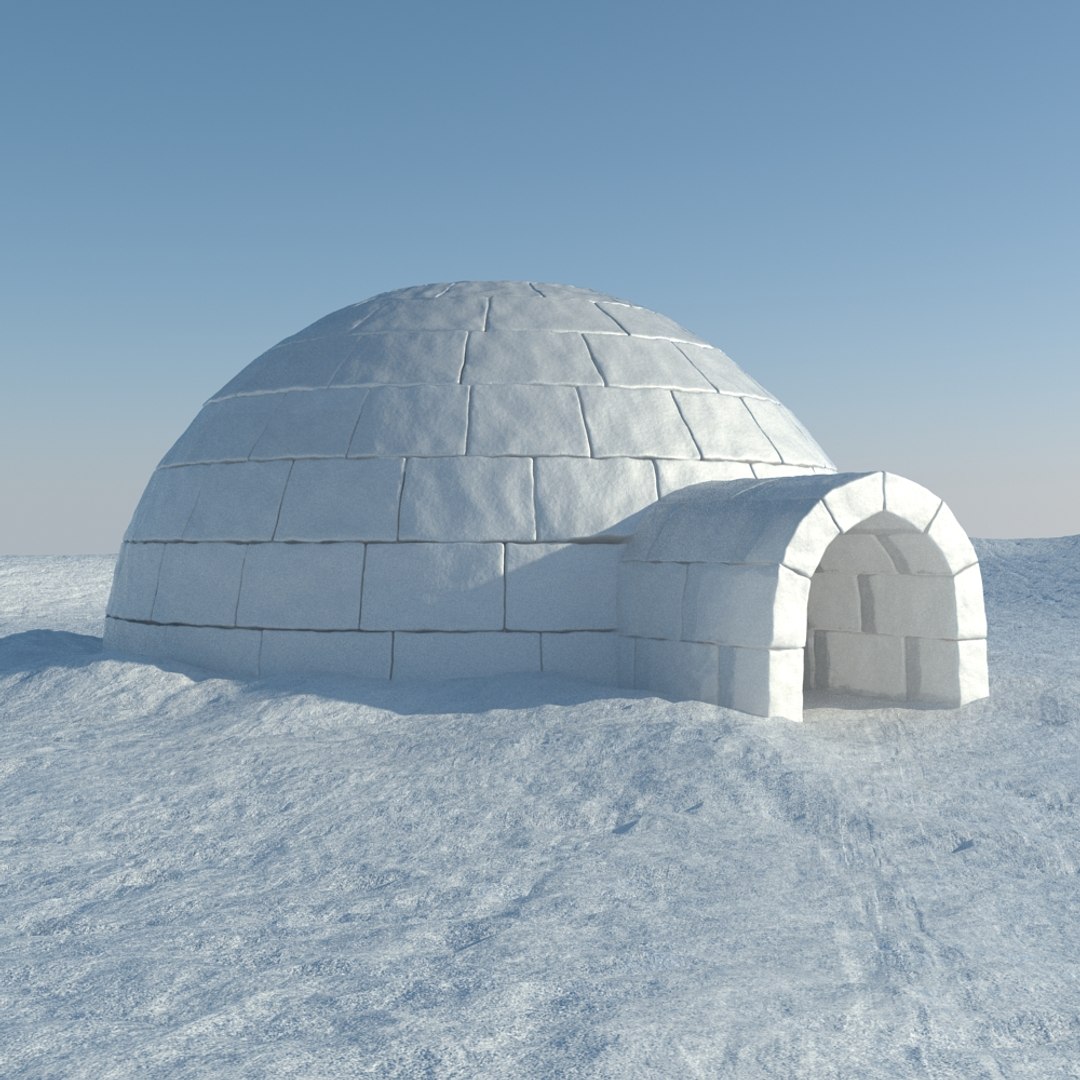 igloo snow 3d max