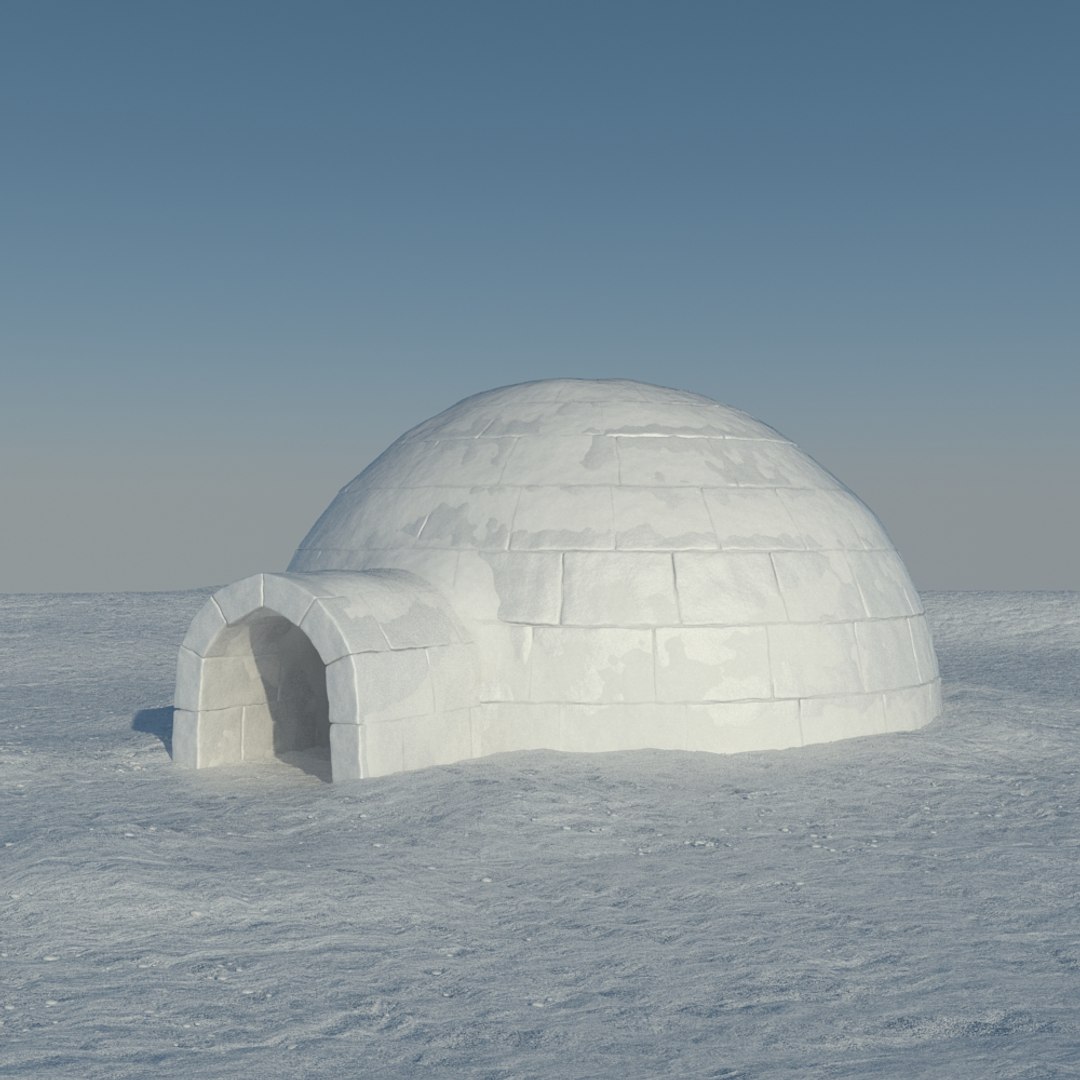 igloo snow 3d max