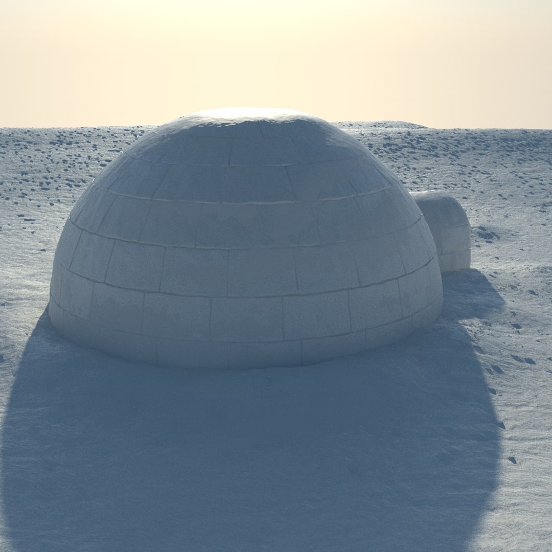 igloo snow 3d max