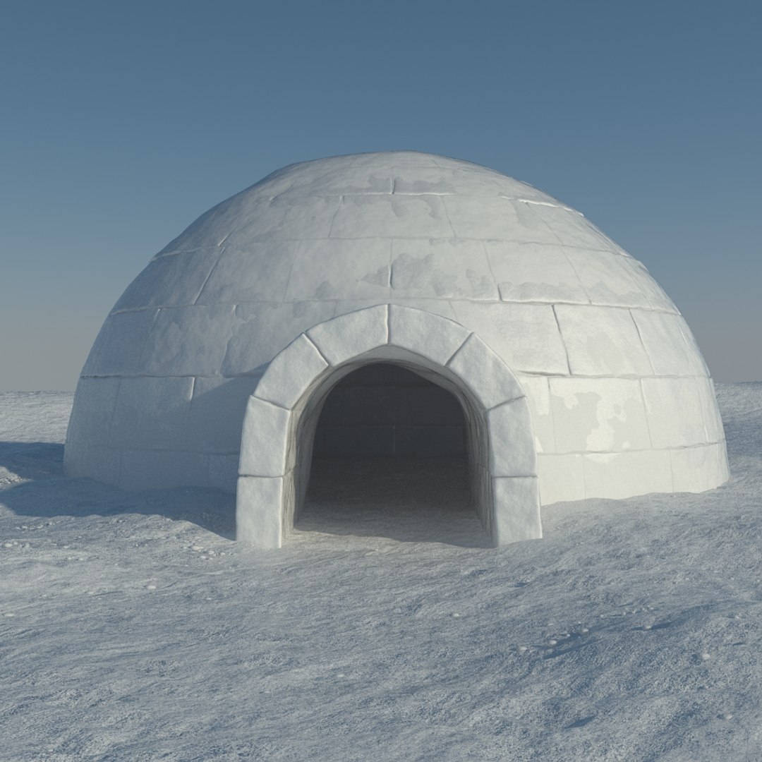 igloo snow 3d max
