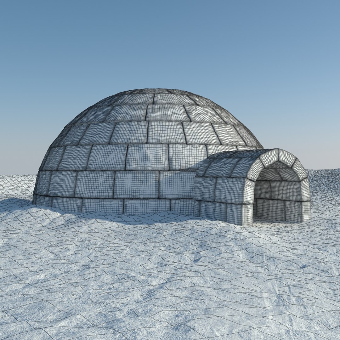 igloo snow 3d max