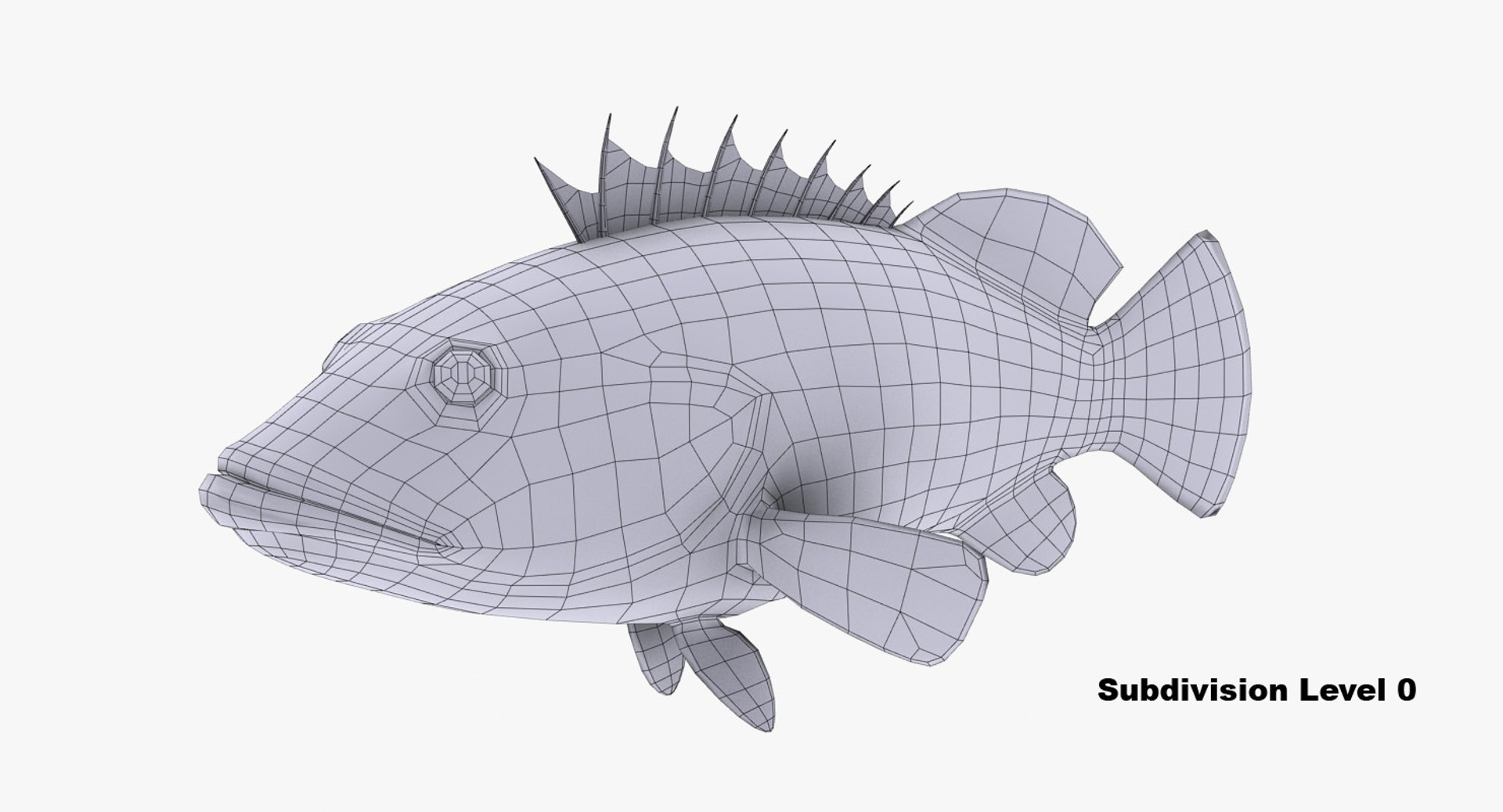 Animal fish model - TurboSquid 1419727