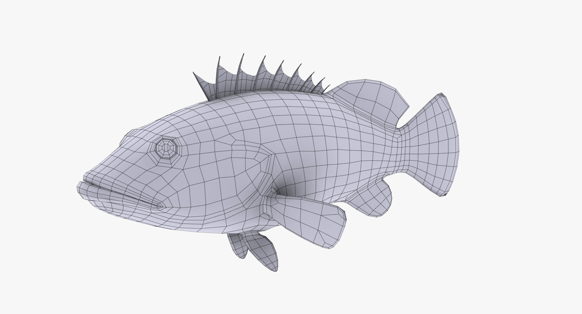 Animal fish model - TurboSquid 1419727
