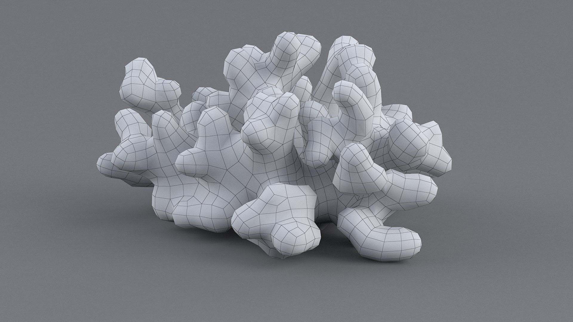Coral Polyp 3D Model - TurboSquid 1476835