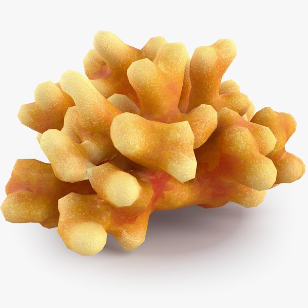 Coral polyp 3D model - TurboSquid 1476835