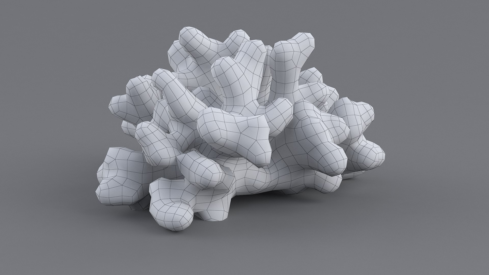 Coral Polyp 3D Model - TurboSquid 1476835