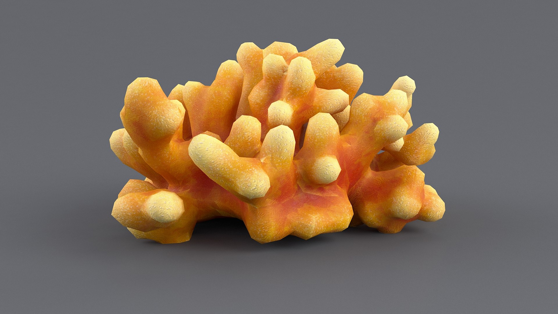 Coral Polyp 3D Model - TurboSquid 1476835