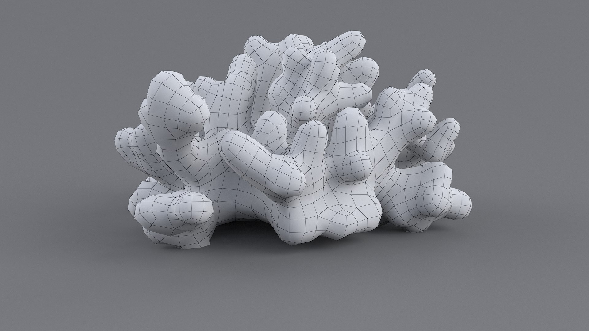 Coral Polyp 3D Model - TurboSquid 1476835
