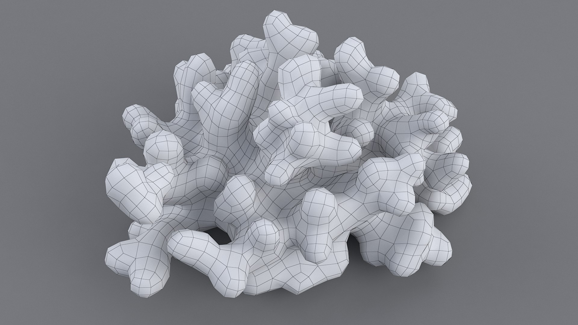 Coral Polyp 3D Model - TurboSquid 1476835