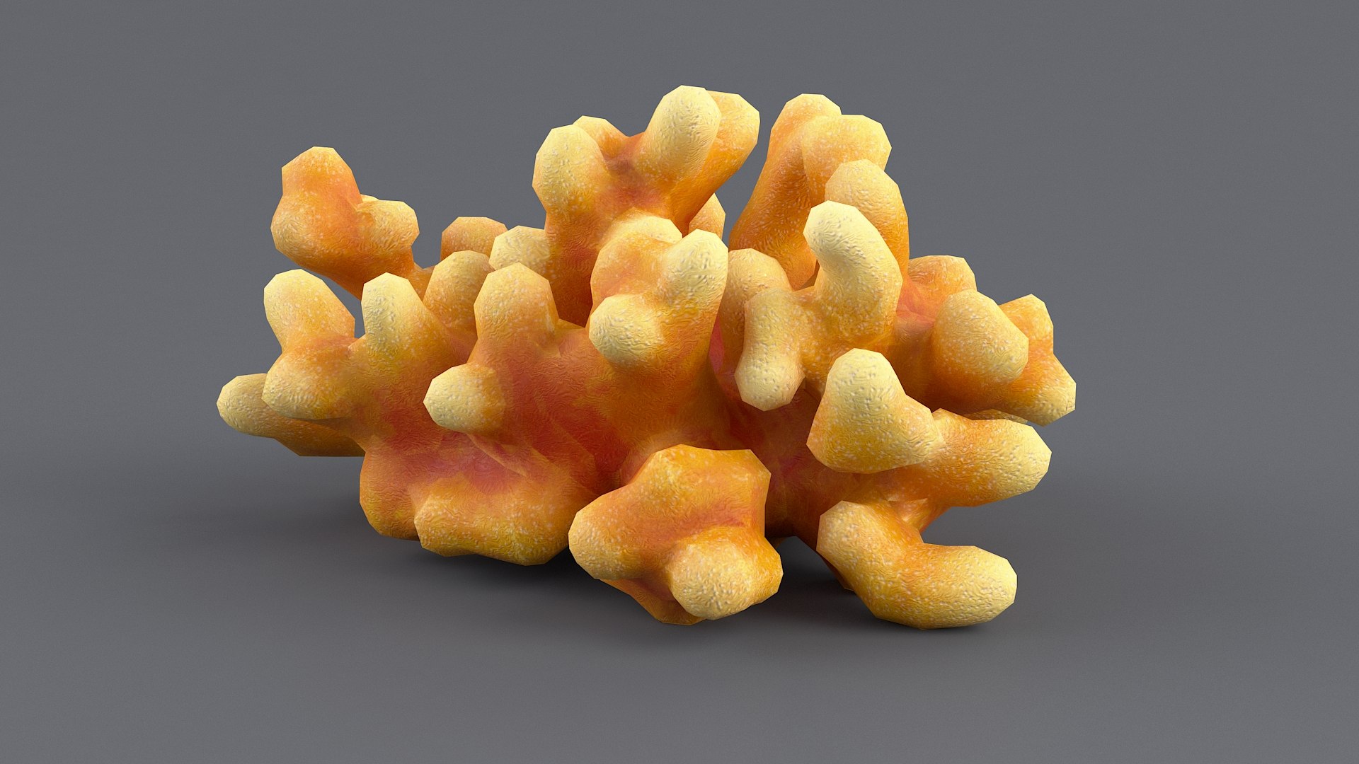 Coral Polyp 3D Model - TurboSquid 1476835