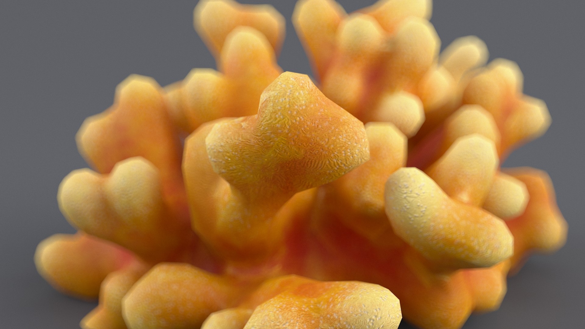 Coral Polyp 3D Model - TurboSquid 1476835