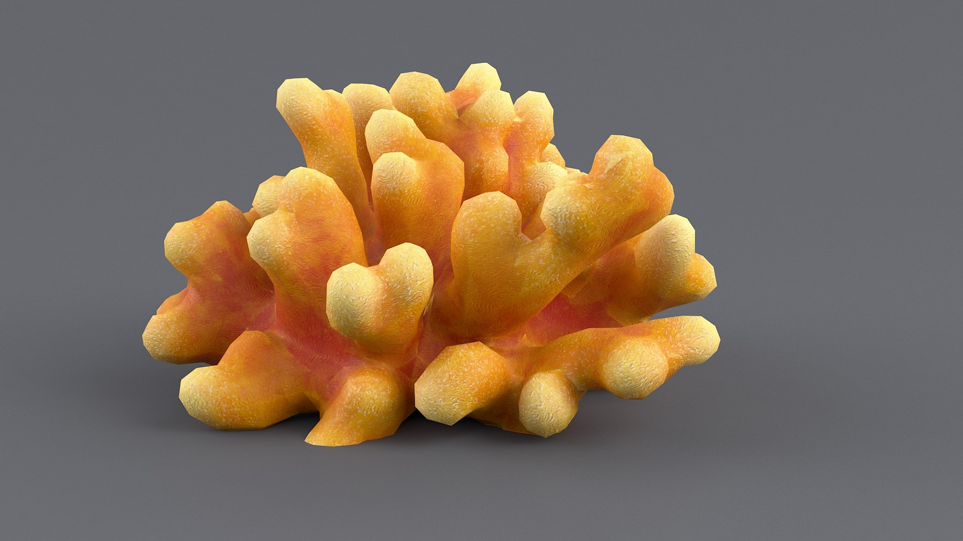 Coral Polyp 3D Model - TurboSquid 1476835