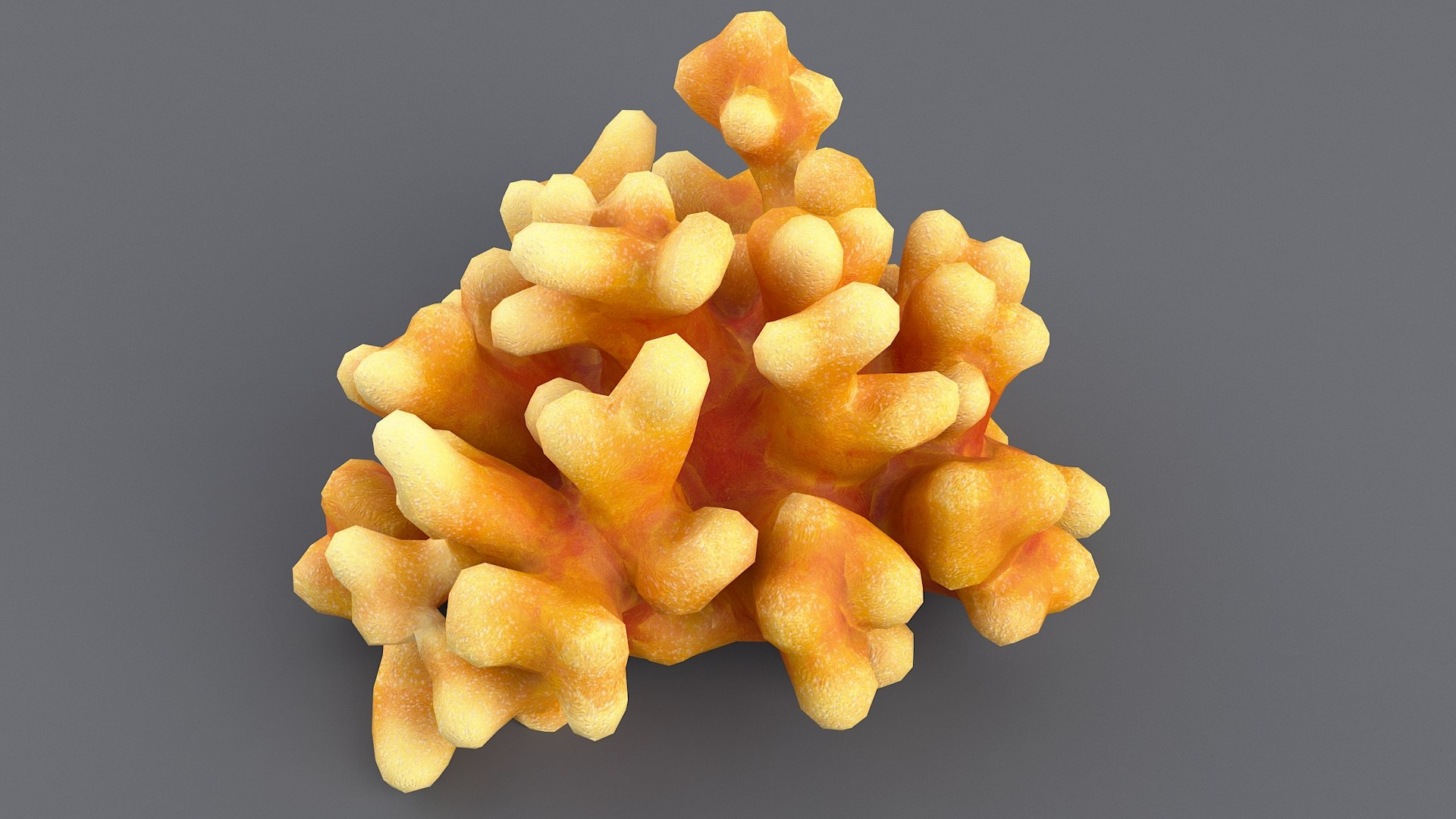 Coral Polyp 3D Model - TurboSquid 1476835