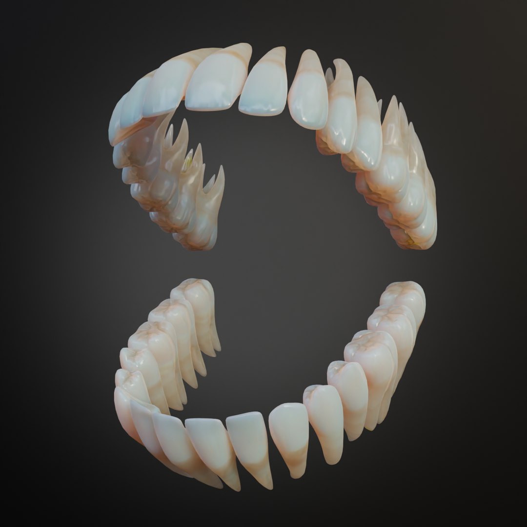 3D Dirty Human Teeth Realistic And Detailed - TurboSquid 2338426