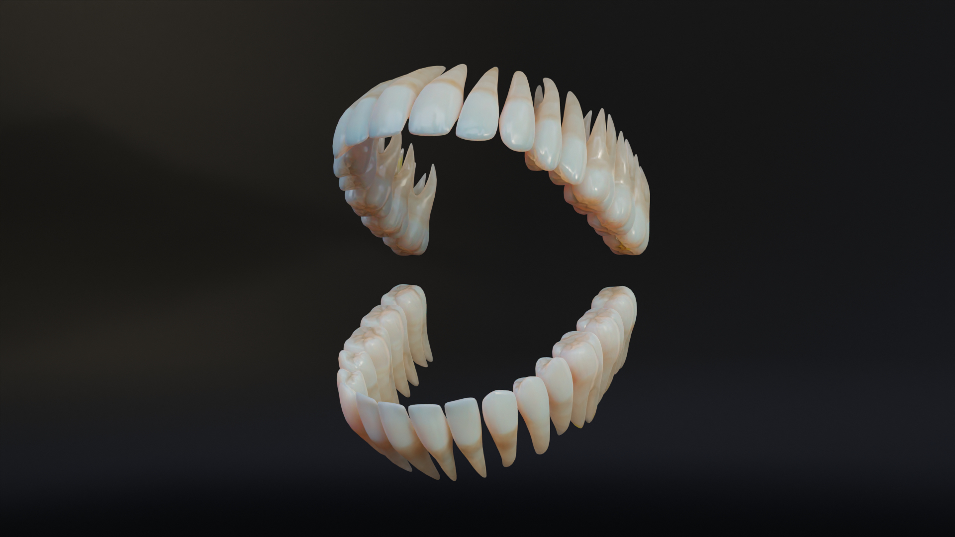 3D Dirty Human Teeth Realistic And Detailed - TurboSquid 2338426
