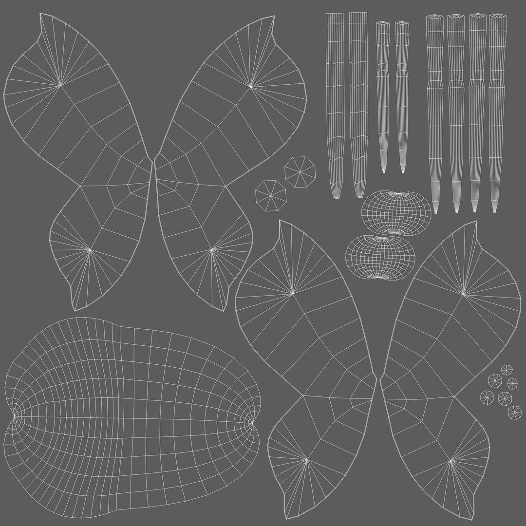 3D Low Poly - Butterfly Wing Flapping Animated Pack 01 Model ...