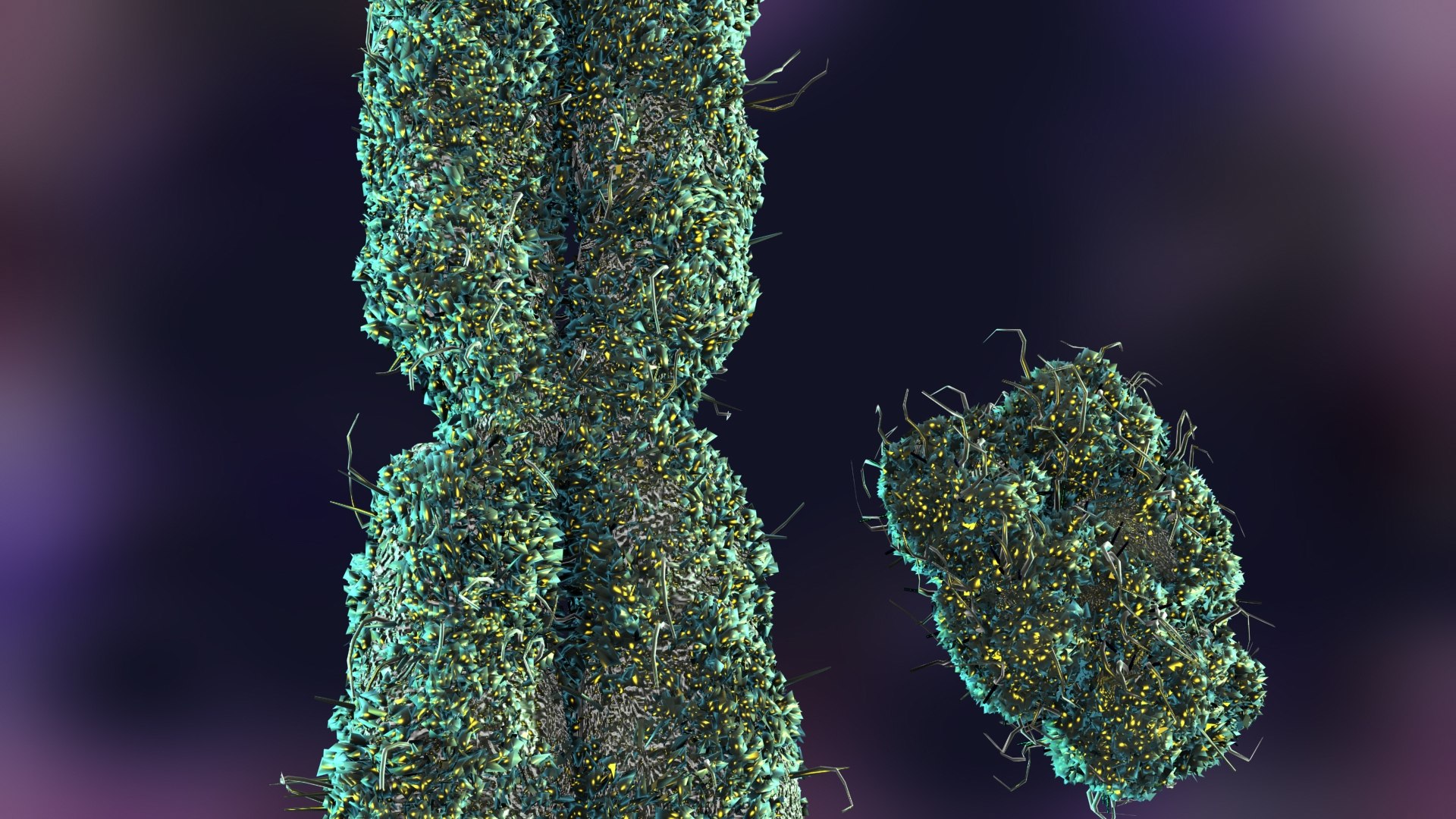 Xy Chromosome Wallpaper