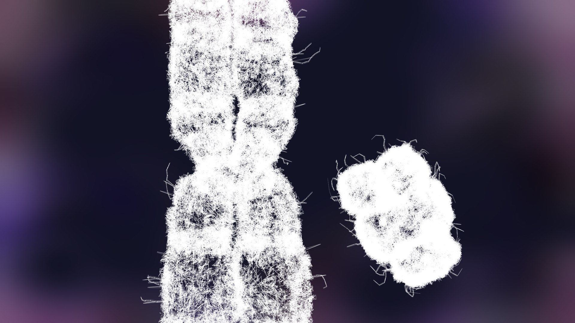 x y chromosomes 3d model