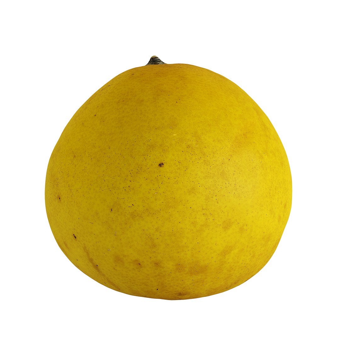 3d Pomelo Model Turbosquid 2056493