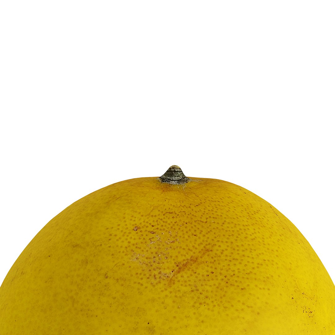 3d Pomelo Model Turbosquid 2056493