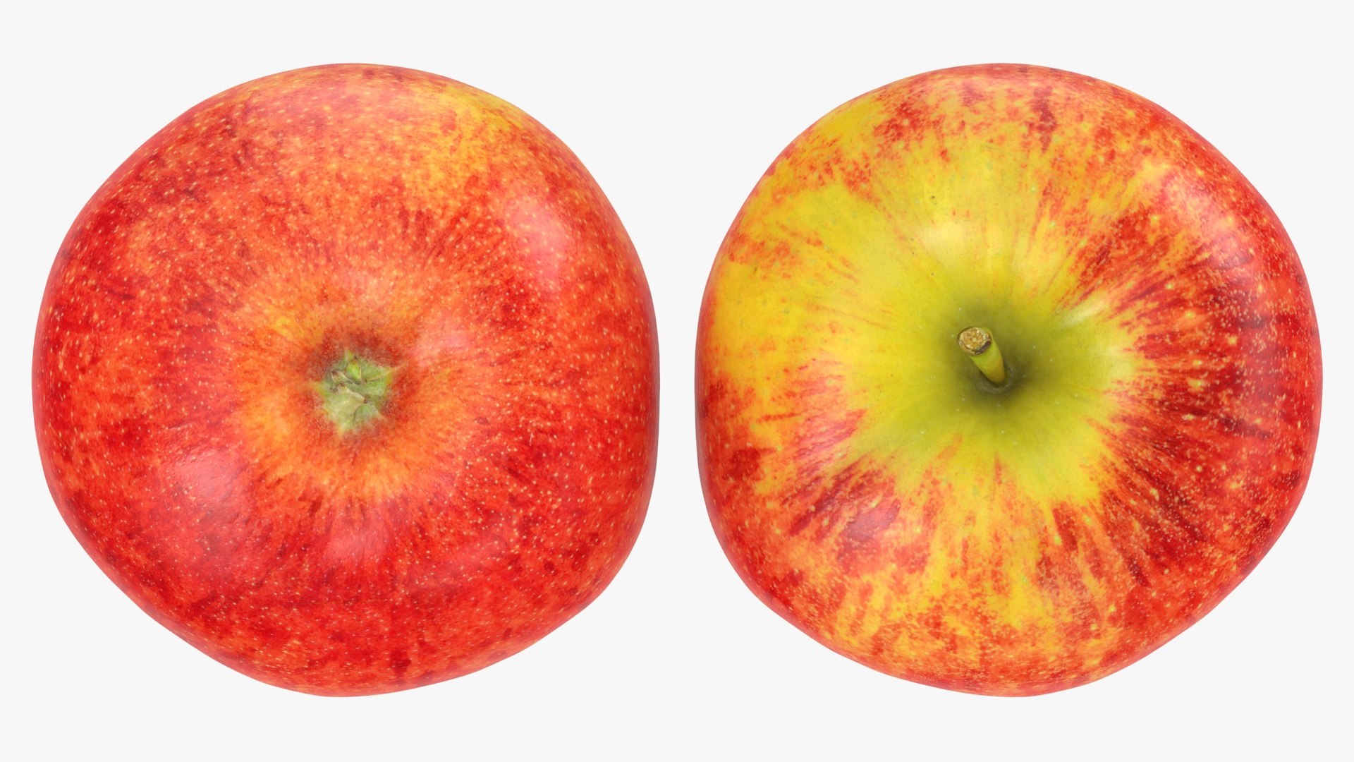 Large Gala Apple 01 3D Model - TurboSquid 2255581