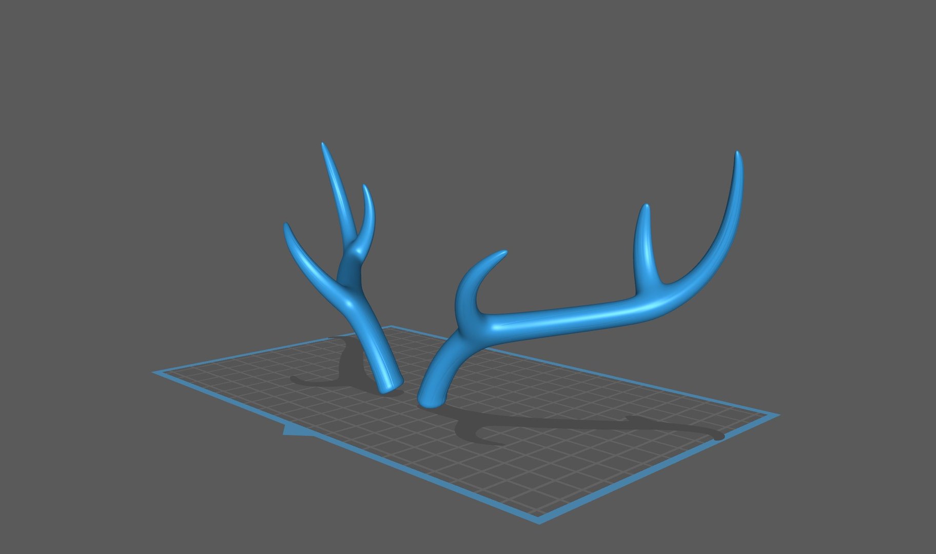 Deer Antler 3D model - TurboSquid 1778314