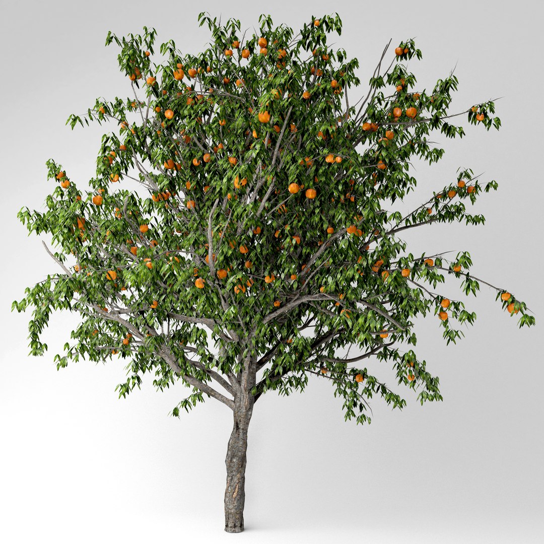 3D Peach Tree - TurboSquid 1552809