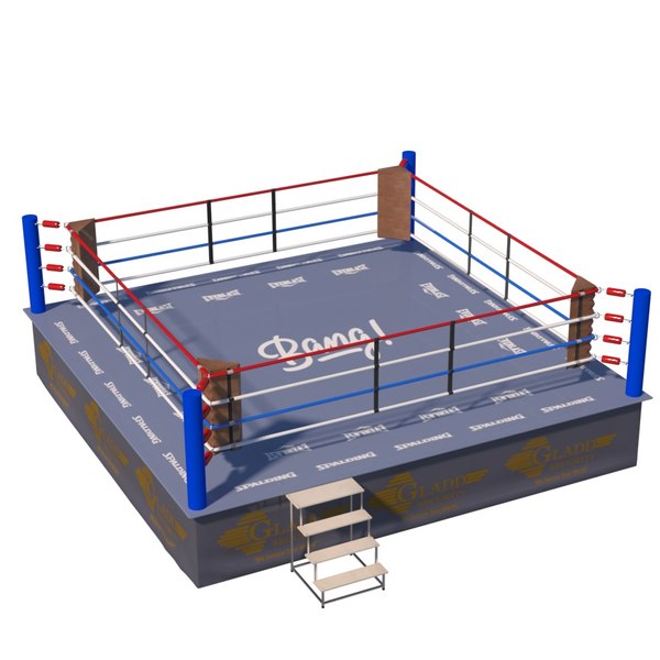 3D model ufc sport box - TurboSquid 1482315