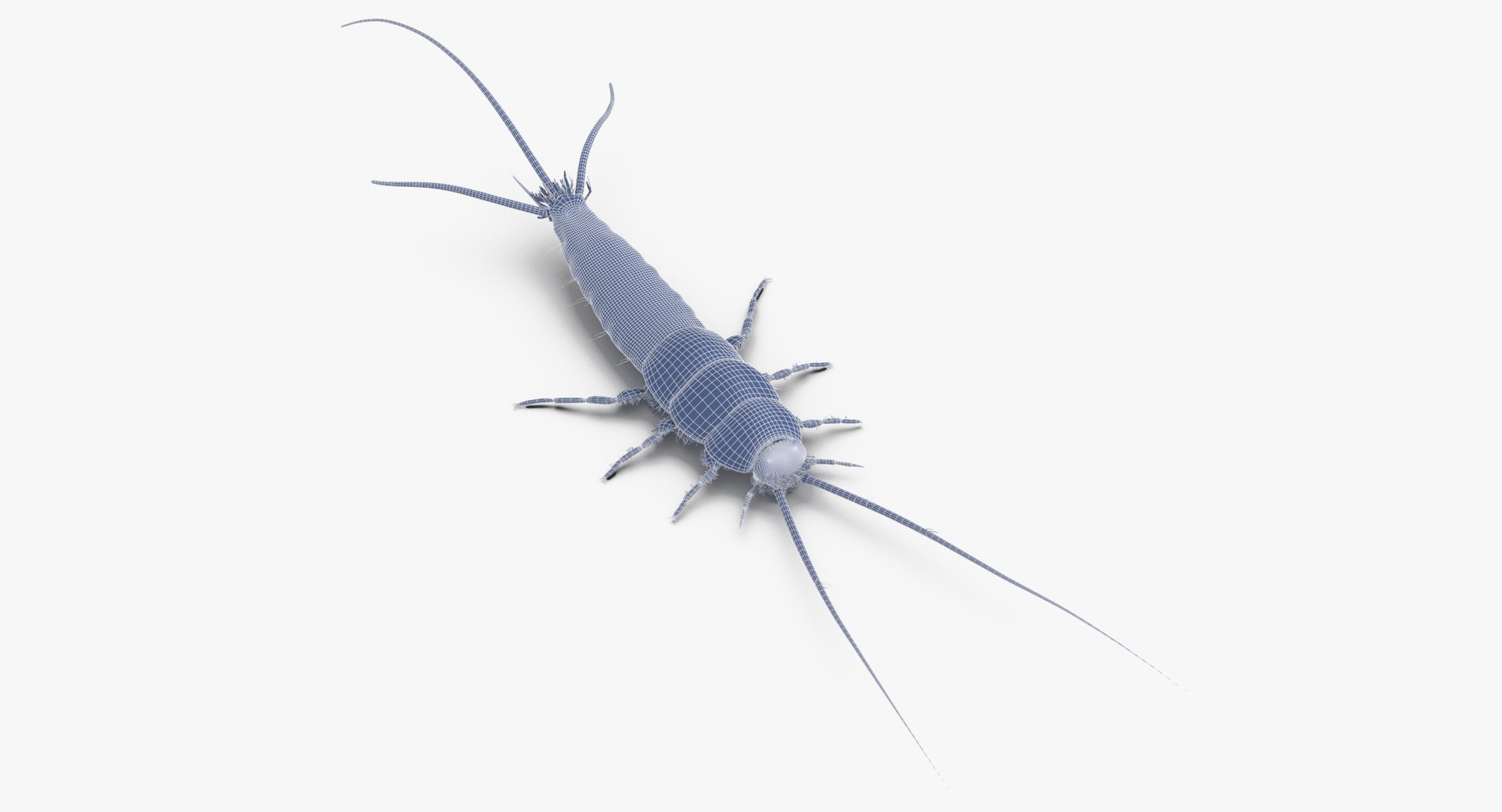 3D Model Silverfish Poses - TurboSquid 1399503