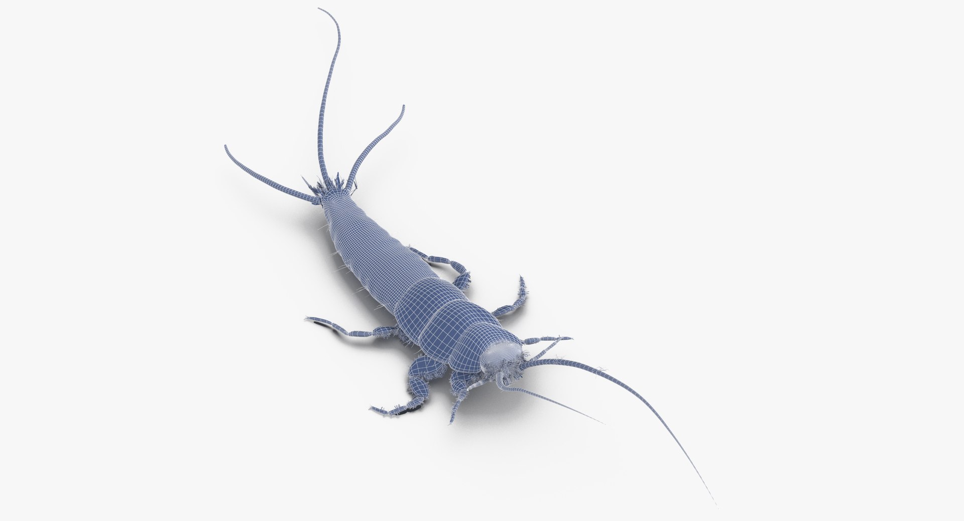 3D Model Silverfish Poses - TurboSquid 1399503
