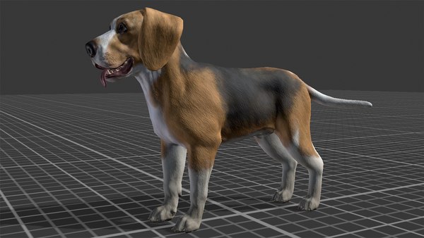 Dog - Beagle 3D model - TurboSquid 1933194