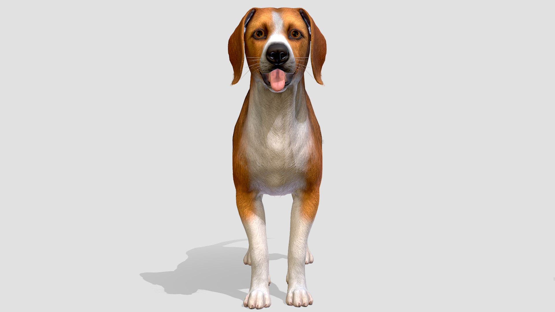 Dog - Beagle 3D Model - TurboSquid 1933194