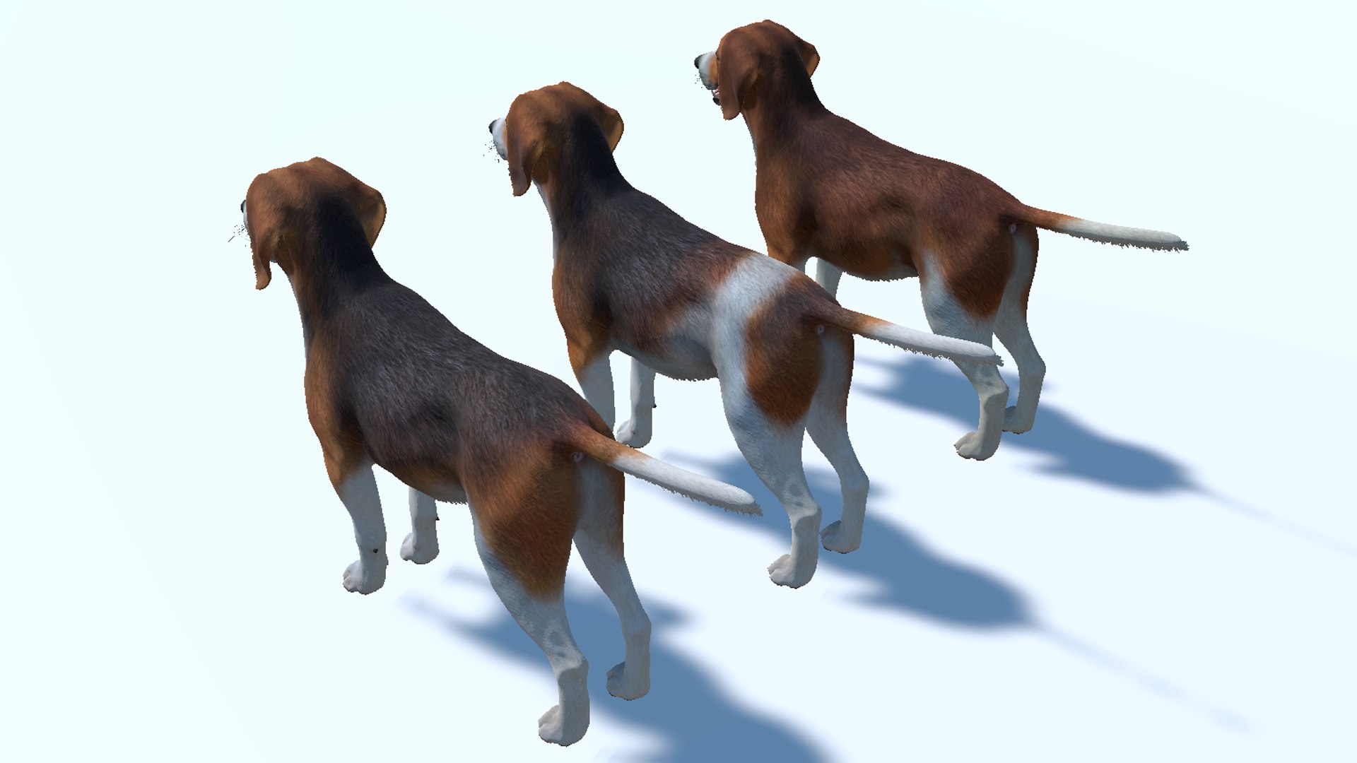 Dog - Beagle 3D Model - TurboSquid 1933194