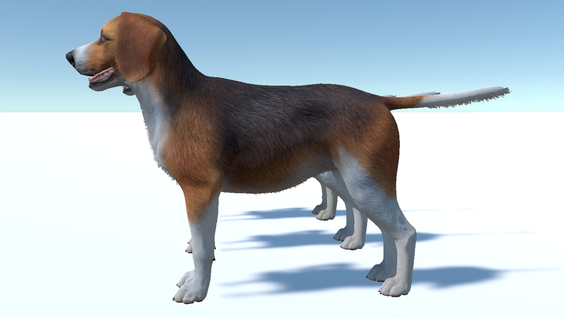 Dog - Beagle 3D Model - TurboSquid 1933194