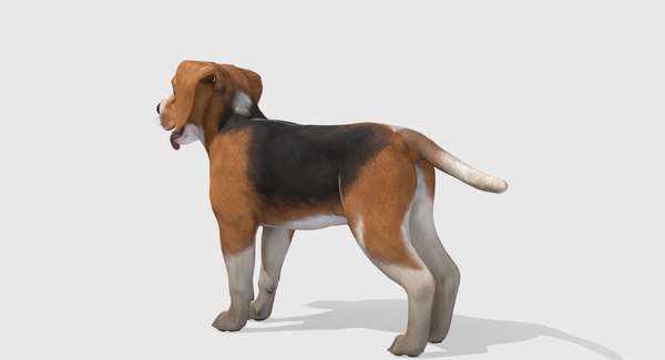 Dog - Beagle 3D model - TurboSquid 1933194