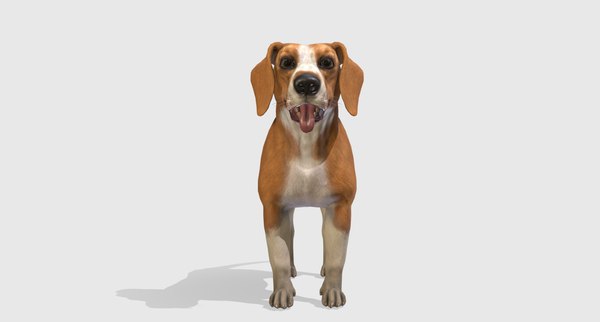 Dog - Beagle 3D model - TurboSquid 1933194