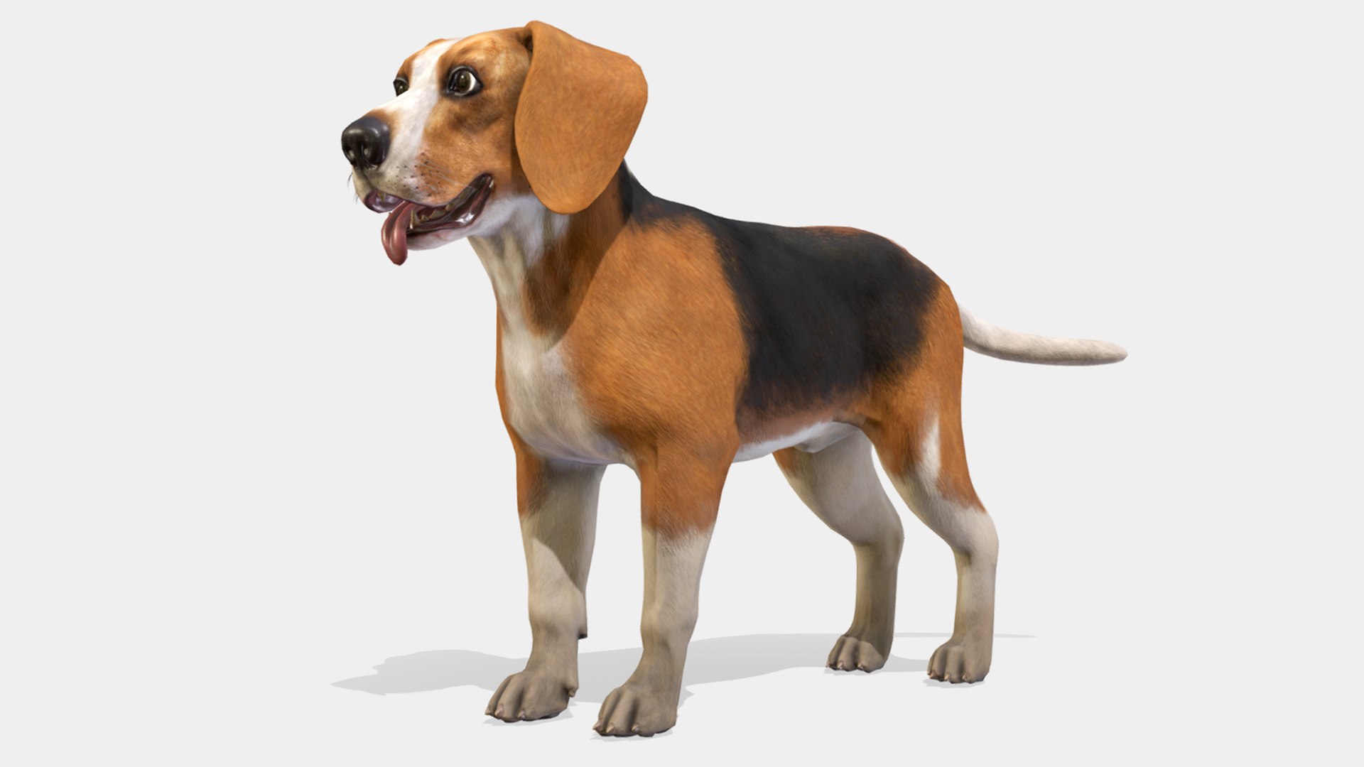 modelo 3d Dog - Beagle - TurboSquid 1933194