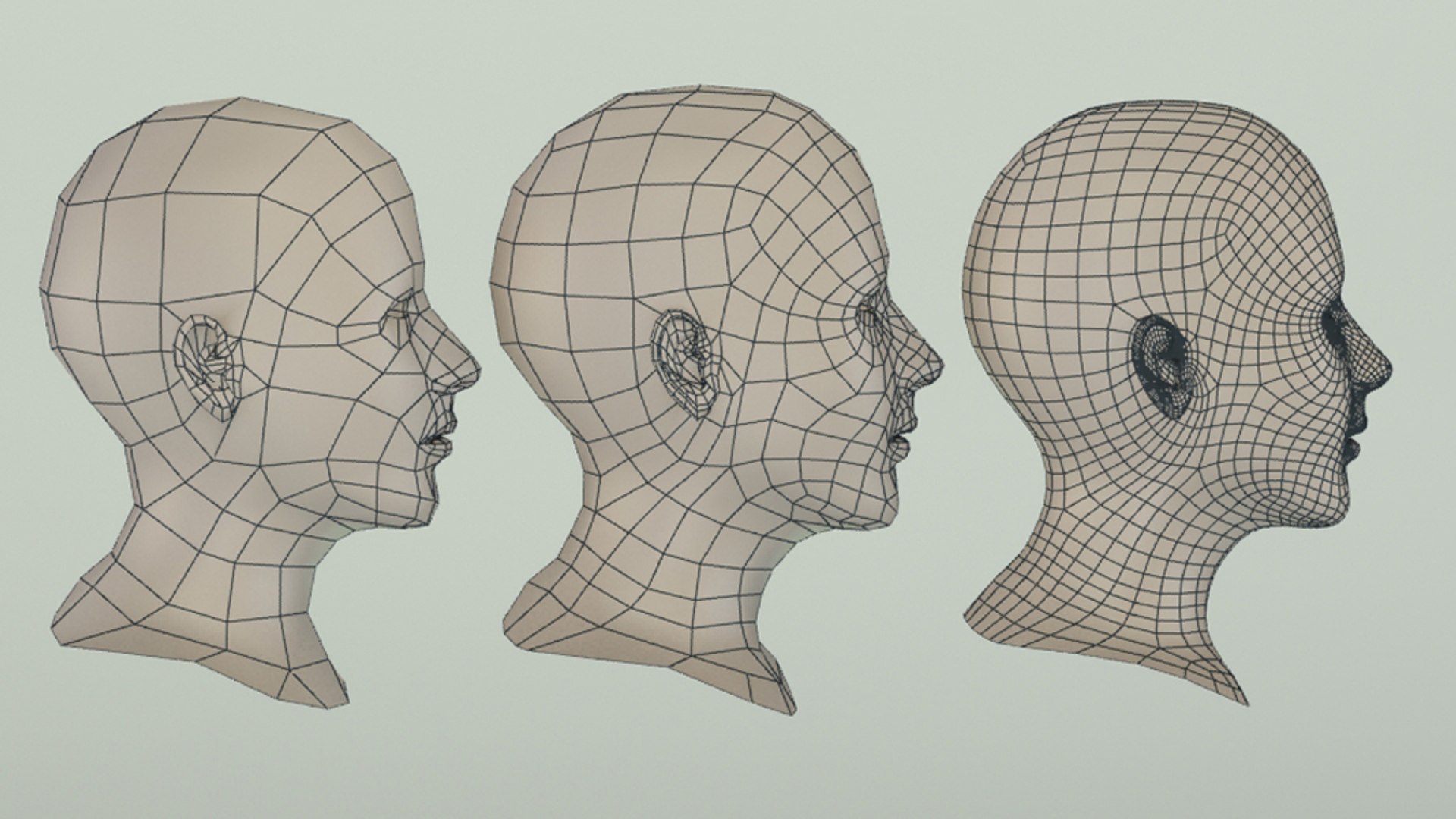 female head bust pack 3d model