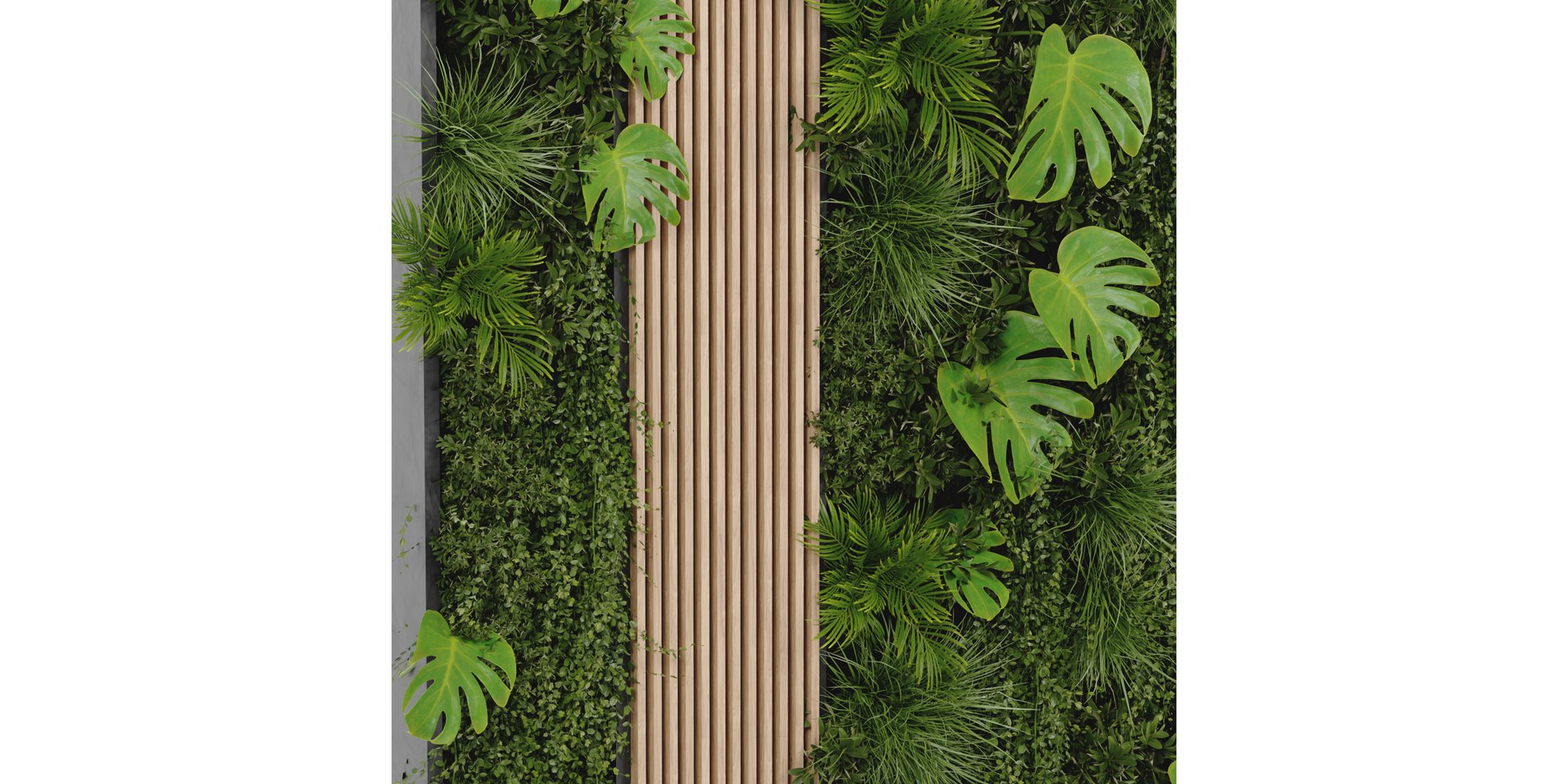 Collection Plant Vol 400 - Blender Model 3D Model - TurboSquid 2095889