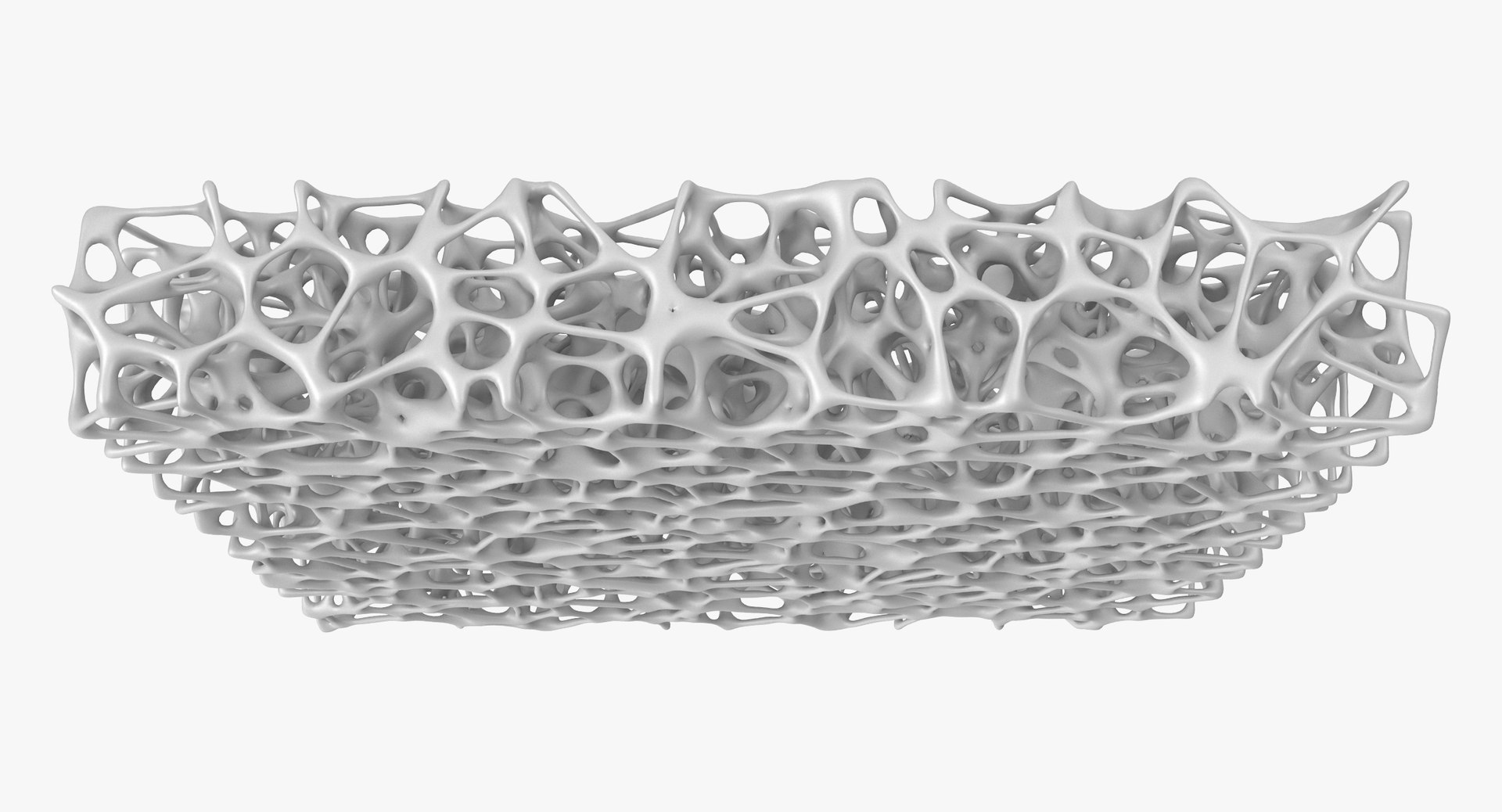 Bone Matrix Rectangle 3D Model - TurboSquid 1298759