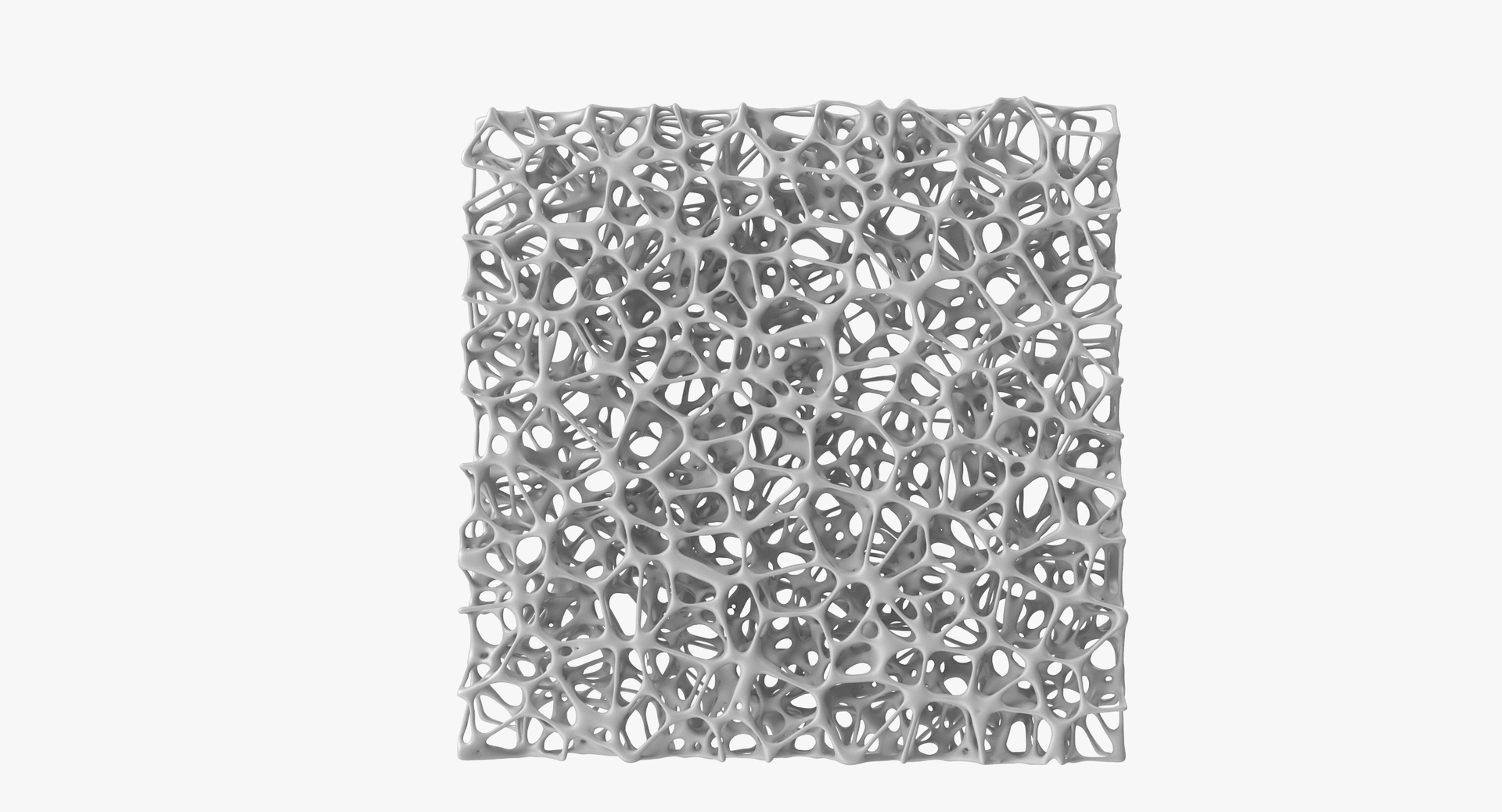 Bone Matrix Rectangle 3D Model - TurboSquid 1298759