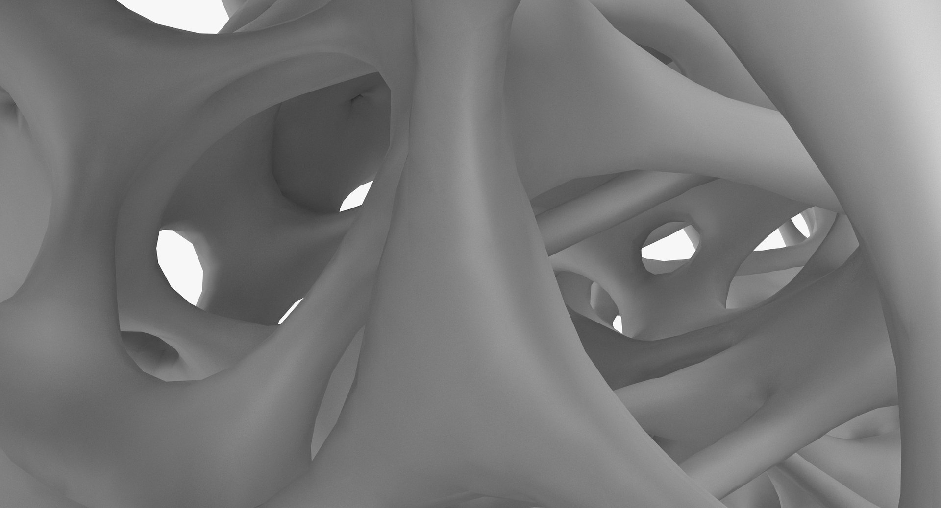 Bone Matrix Rectangle 3D Model - TurboSquid 1298759