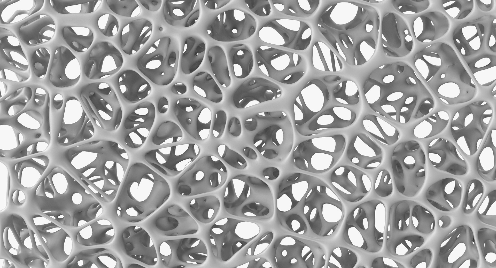 Bone Matrix Rectangle 3D Model - TurboSquid 1298759